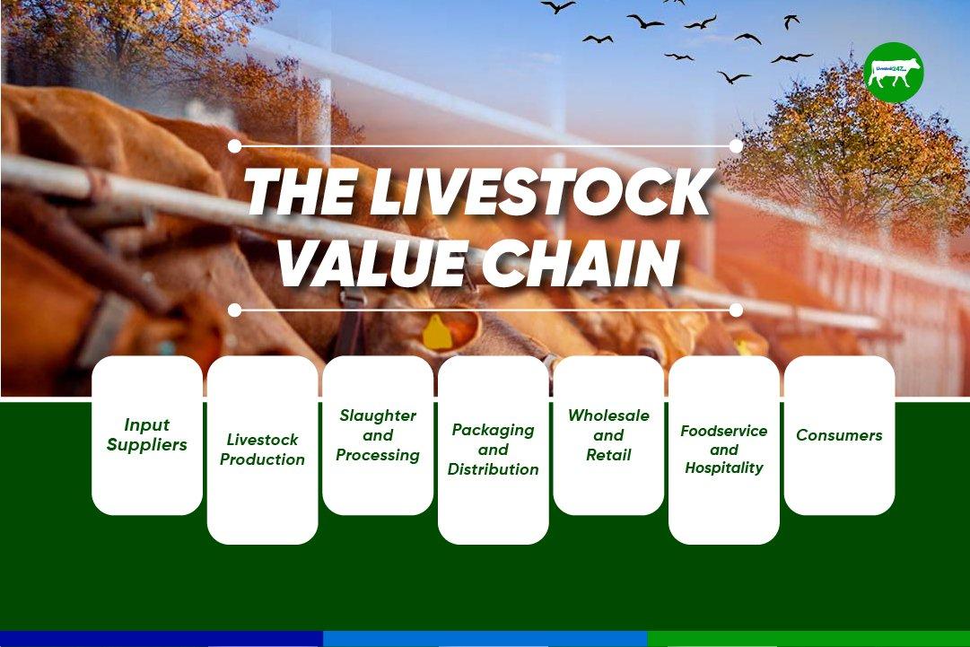 Livestock247 - The Livestock Value Chain